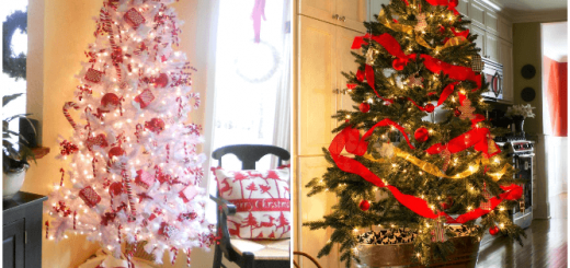 Pep Up Your Home with Mirror Decorating Ideas – Sevenedges Pep Up Your Home with Mirror Decorating Ideas – Sevenedges
